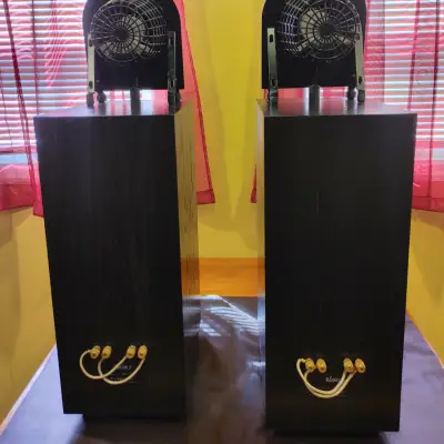 Alon Model 1 Acarian Systems Black Ash Speakers | Reverb
