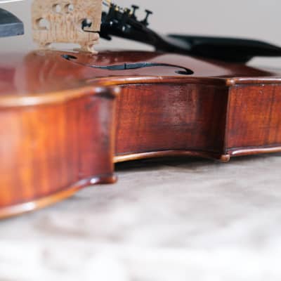 Viola // Jay Haide L'Ancienne | Reverb UK