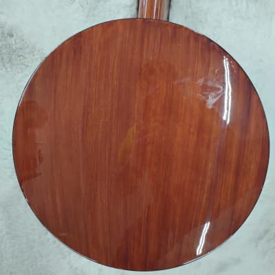 Dean Backwoods Model BW2E 5 string Electric Banjo with | Reverb UK