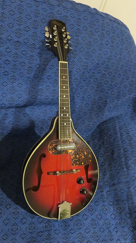 Tradition Mandolin, electric model M - 401 | Reverb