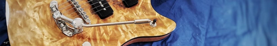 anna corona liuteria | Reverb