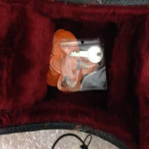 SAMICK SM20E Electric/Acoustic Mandolin Early 90's | Reverb