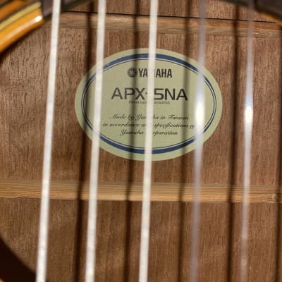 Yamaha APX-5NA Classical-Electric Guitar | Reverb