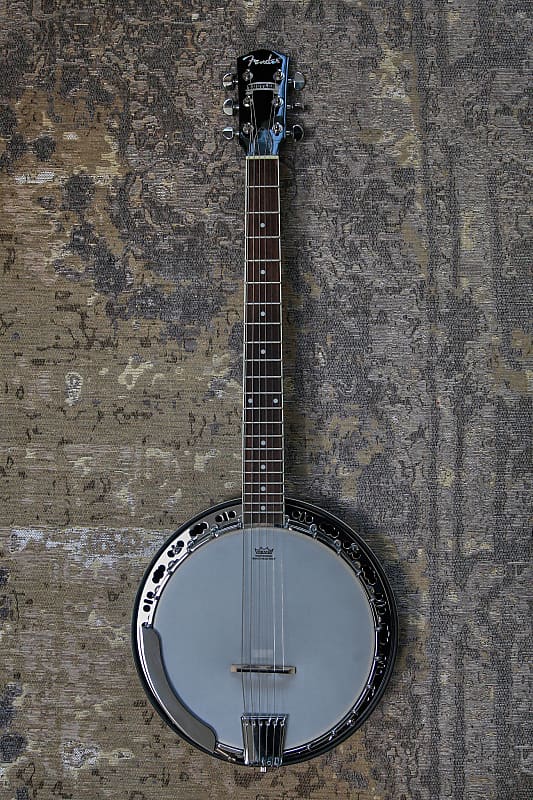 Fender 6 string banjo | Reverb