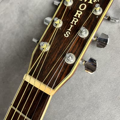 TF Morris W-50 MIJ Early 1980’s | Reverb