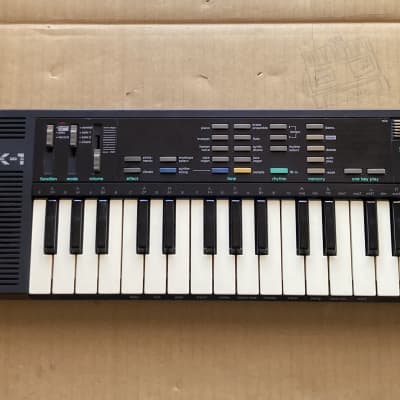 Casio DM-100 Sampling Keyboard (SK-1, 5, 8 rare big brother) | Reverb