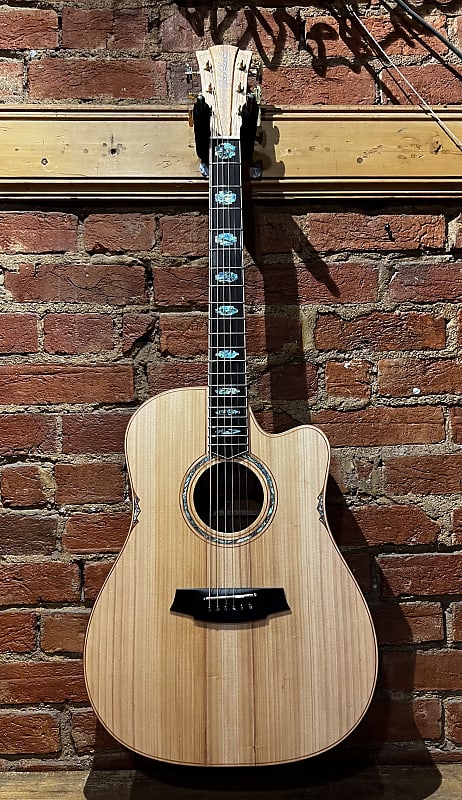 Cole Clark FL3 EC Dreadnought - Bunya Blackwood B / | Reverb Australia