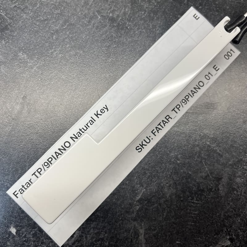 Fatar Replacement E Key (TP/9 Keybeds) for Nord | Reverb Canada
