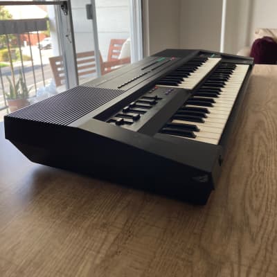 Casio DM-100 Dual Keyboard | Reverb