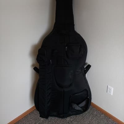 Shen Double Bass SB200 2008 - Satin | Reverb