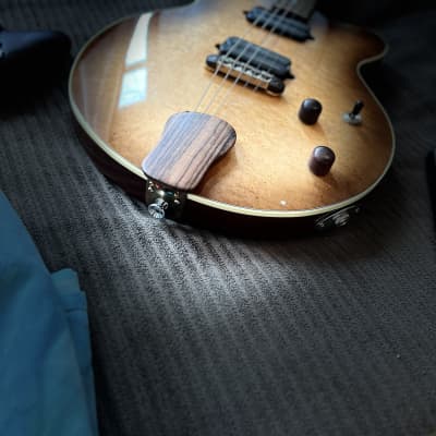 Rono deluxe workingman electric semi-hollow 5 string octave | Reverb