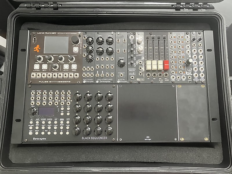 6u eurorack modular system w powered case and pelican | Reverb