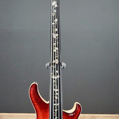 PRS NOS 2017 Namm Show Private Stock Gary Grainger 5 String | Reverb