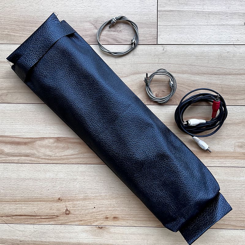 MOD 4AB3C1B 2023 Reverb Pan & Fender cables & pan bag | Reverb