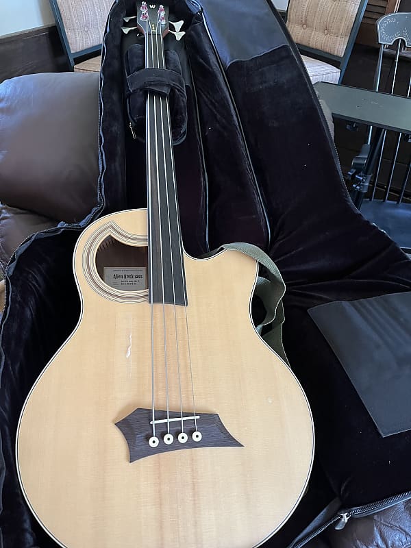 Warwick Alien Rockbass deluxe fretless | Reverb
