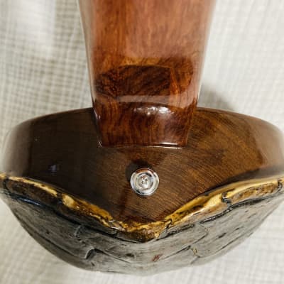 Turtle shell electric tenor guitar | Reverb