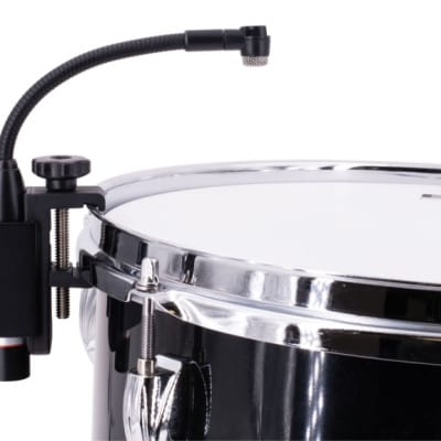 CAD Audio C98 Cardioid Condenser Gooseneck Instrument | Reverb