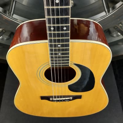 Magnum MD-409 Acoustic Guitar | Reverb