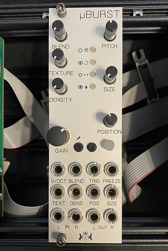 Mutable Instruments Clouds Clone - uBurst by Michigan Synth | Reverb