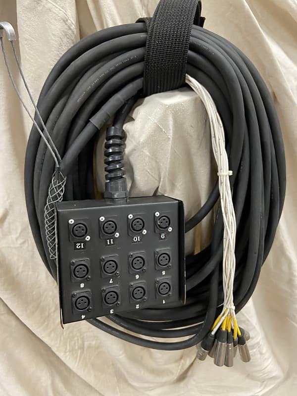 Rapco 12 Channel XLR Sub-Snake 100ft | Reverb