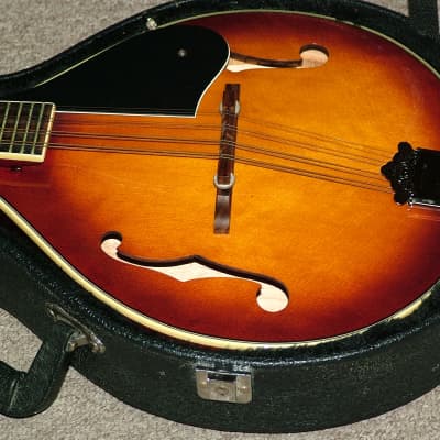 Alvarez A-100 A Style Mandolin with Hardshell Case | Reverb