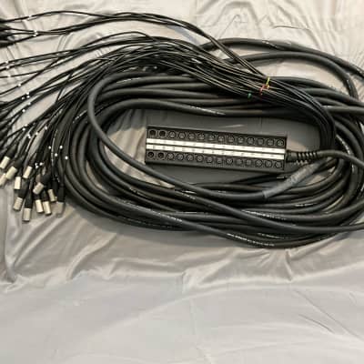 Audio Snake - Pro Co SMA2404FBX-100 24x4 Stage Snake with XLR | Reverb