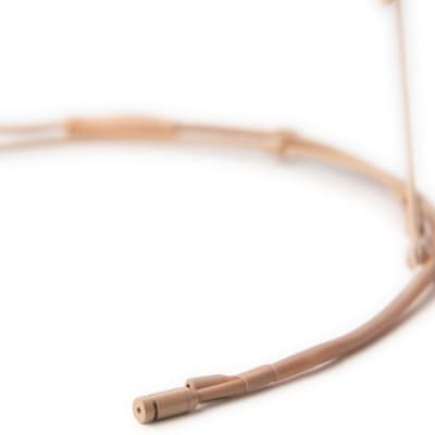 Point Source CX2-8D-XSH Confidence Dual Omni/Cardioid Headset | Reverb