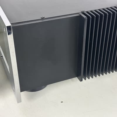 2x Restek Extent Mono Endstufe / Power Amplifier | Reverb