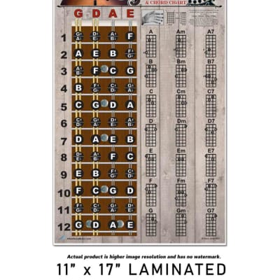Laminated Mandolin Easy Chord Chart & Fretboard Notes Poster | Reverb