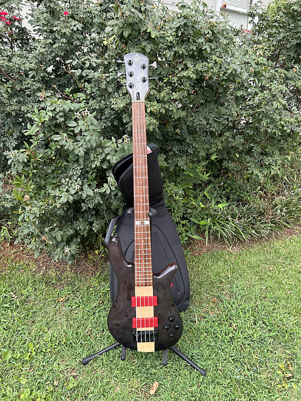 Spector NS-2000/5 Dan Briggs Signature 5 String - | Reverb
