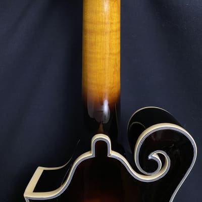 Gold Tone F-6+ Mando-Guitar 6-String Mandolin w/pickup, | Reverb