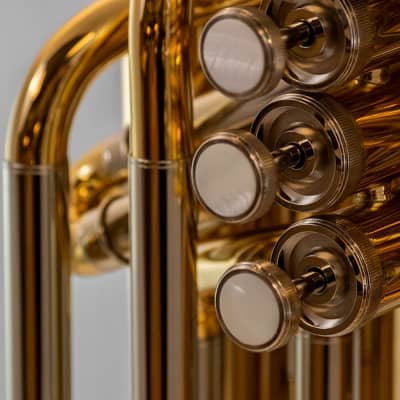 John Packer JP279B Key of Bb Yellow Brass Brass Body Tuba | Reverb