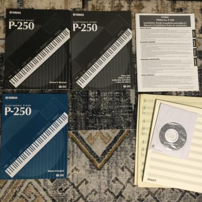 Yamaha P-250 - Excellent Condition | Reverb