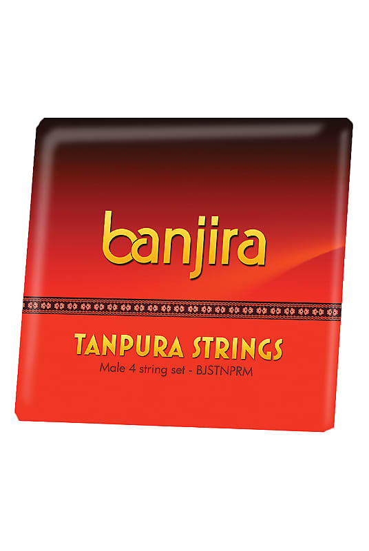 banjira Tanpura Male 4 String Set Loop End | Reverb