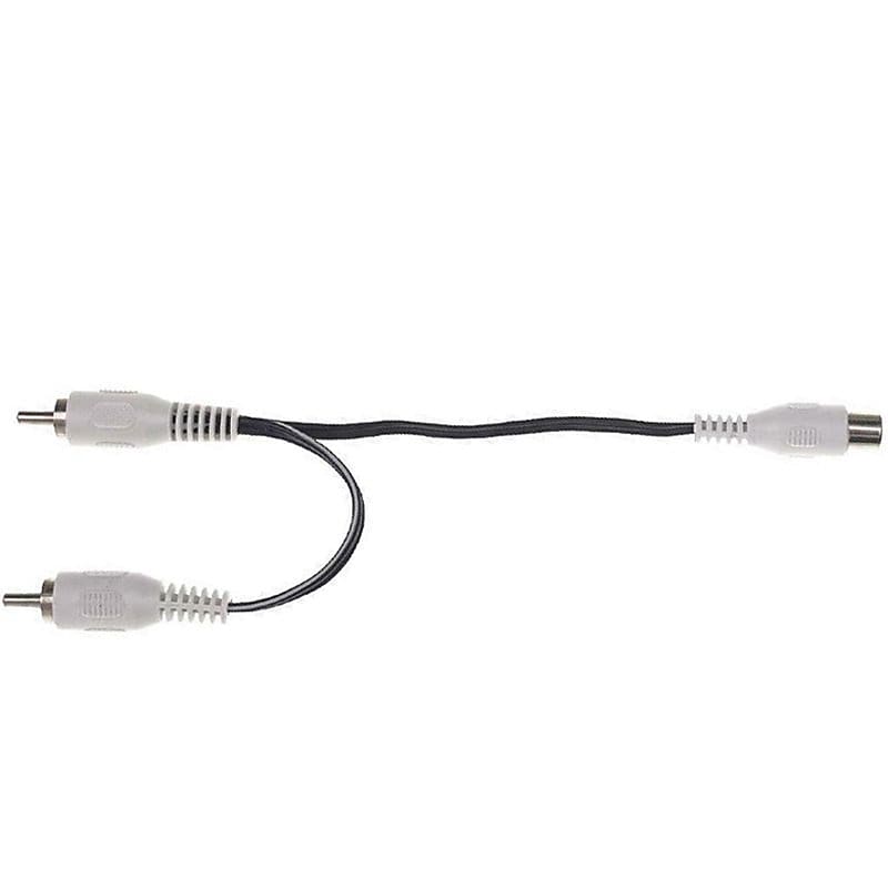 CIOKS Series Flex Adapter Cable - 10cm | Reverb Canada