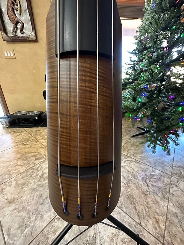 NS Design NXTa Upright Electric Bass: Limited Gollihur | Reverb
