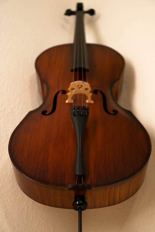 Ricci Carbon Cello Soloist Elite Edition with wooden optic | Reverb
