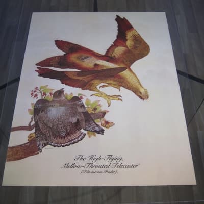 Fender Telecaster & Twin Reverb Authentic Vintage Poster "The | Reverb