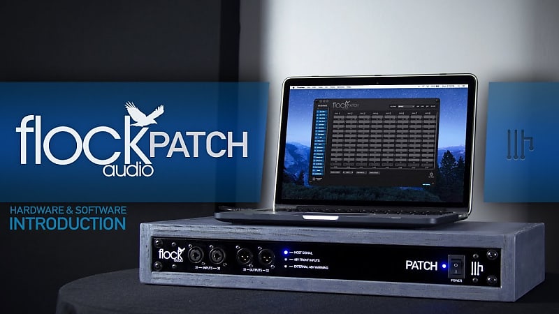 Flock Audio Patch 64 2022 - Black | Reverb