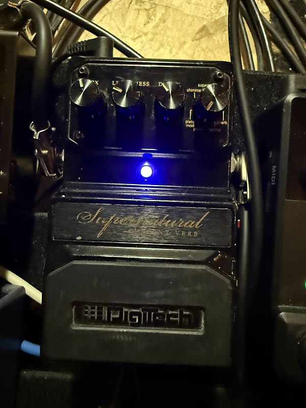 DigiTech Supernatural Ambient Stereo Reverb 2010s - Black | Reverb