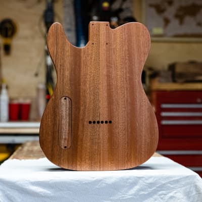 Thinline Tele Body / Hollow Body Tele | Reverb