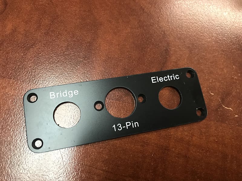 Output jack cover plate for 13 pin and quater inch | Reverb