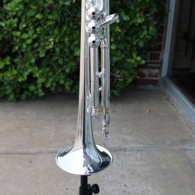 BAC Musical Instruments Handcraft Series Paseo Professional | Reverb