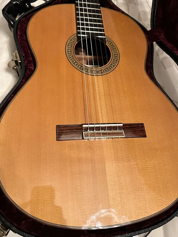 Pavan Tp-30 2006 | Reverb