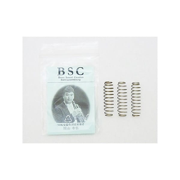 BSC HIGH SPEED VALVE SPRING VS 13 (Piston spring for | Reverb UK