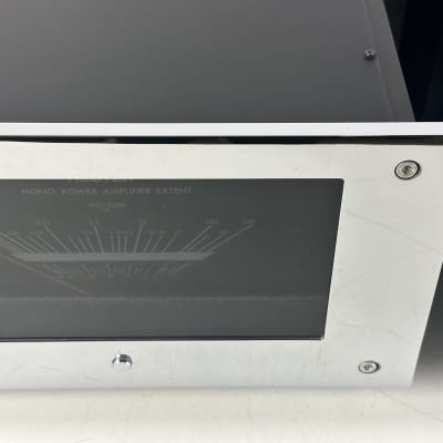 2x Restek Extent Mono Endstufe / Power Amplifier | Reverb