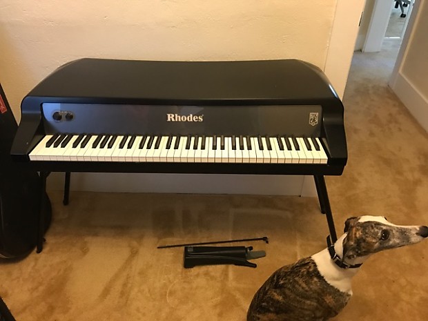 Rhodes Mark 7 (73 Key) 2011 Black Gloss | Reverb