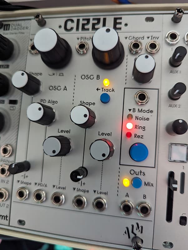 ALM Cizzle 2024 | Reverb