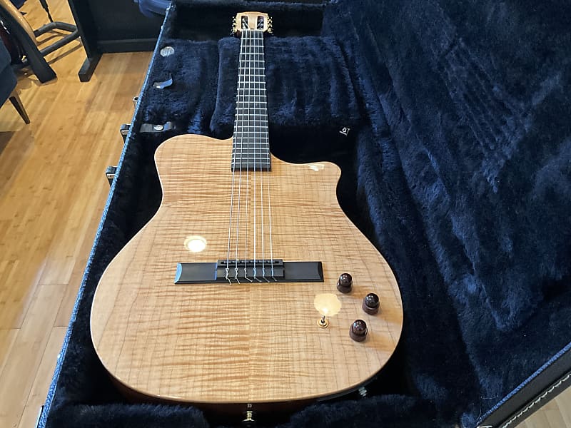Carvin NS 1 Acoustic Electric Guitar midi | Reverb