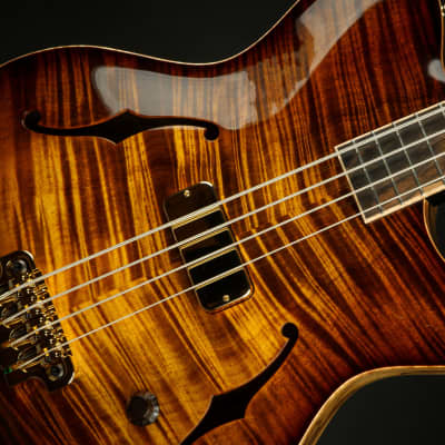 Nik Huber Rietbergen Bass - Charcoal Burst | Reverb